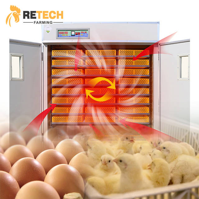 China Super Lowest Price 4 Tier Layer Cage Poultry Farm Agricultural Machinery Automatic Chicken Egg Incubator Hatching 10000 Eggs Retech Manufacturer and Supplier Retech