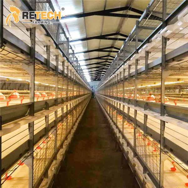 China Modern chicken house design broiler farming equipment ...